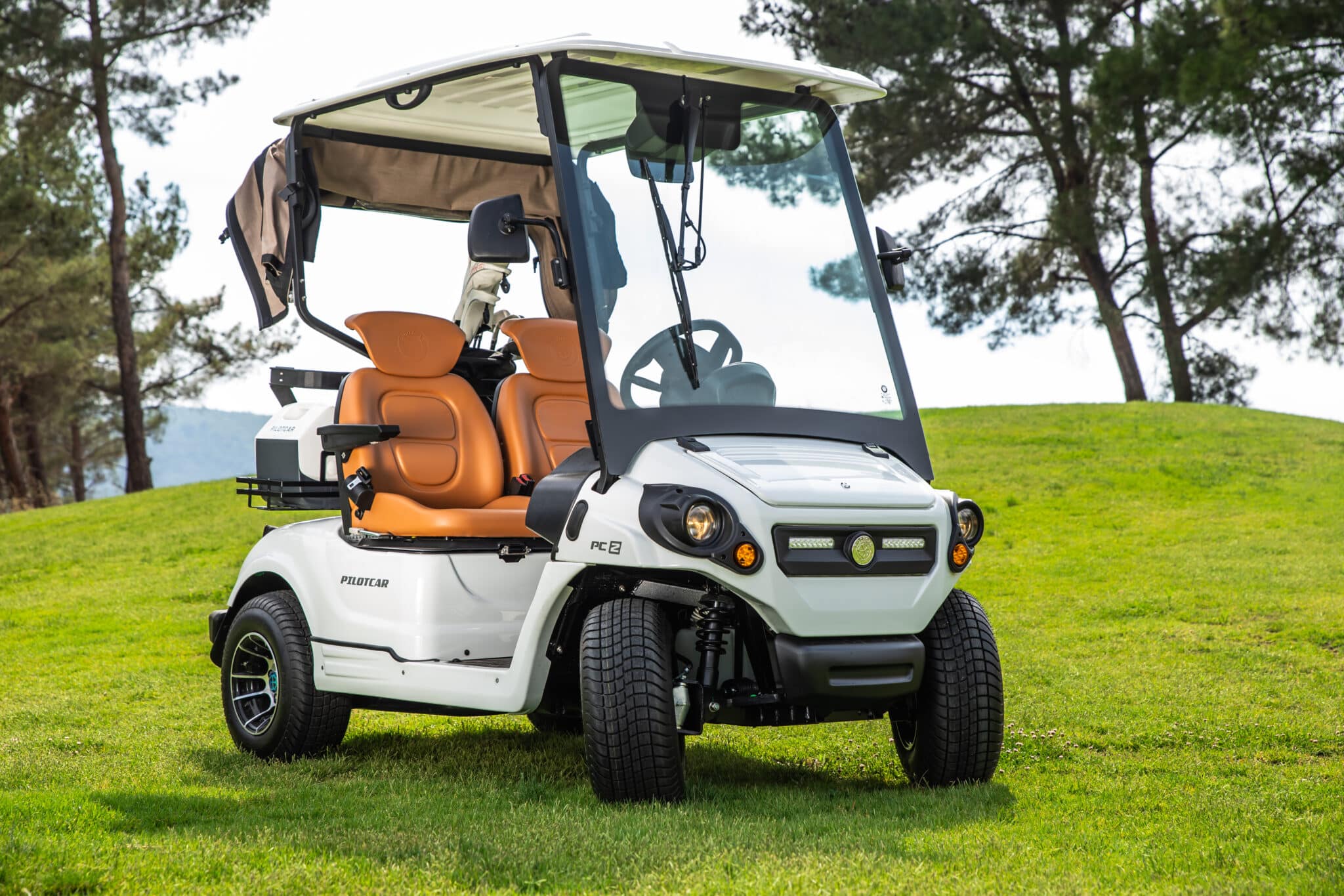 Golf Electrique Prix